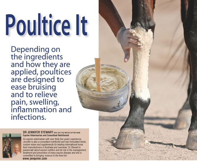 ΥΓΕΙΑ ΙΠΠΩΝ :: Indiannaspirit